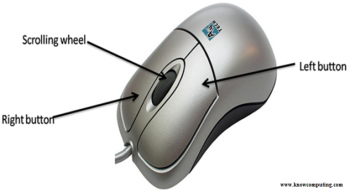 Parts of a computer mouse and its functions - Know Computing