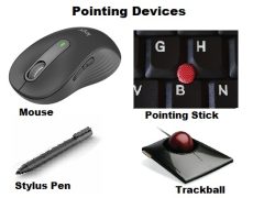 Pointing devices types, functions, and advantages - Know Computing